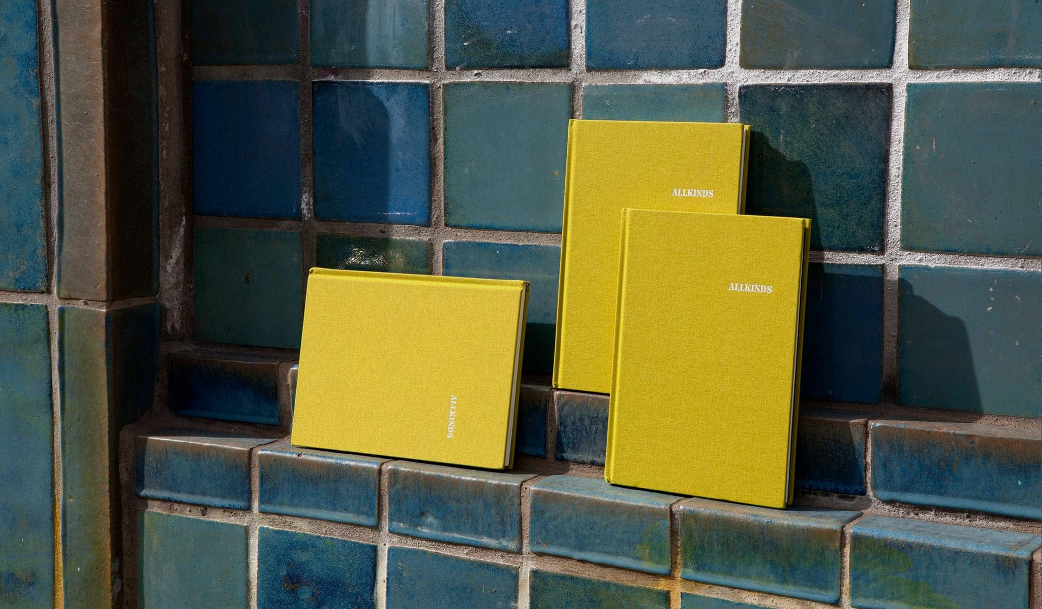 Ais Ais Studio | Designer